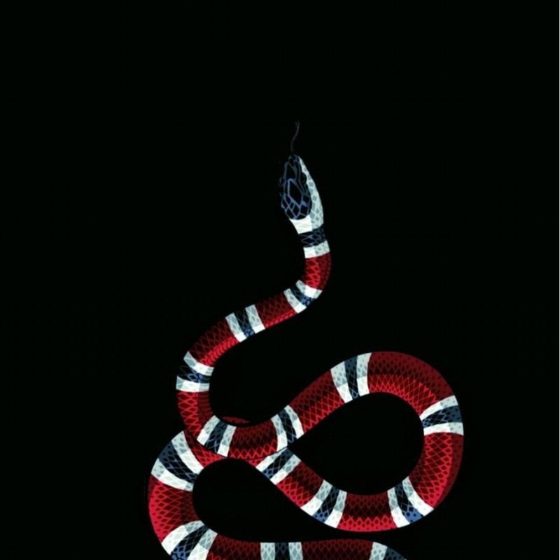 Alex 🌀 (@rising_hitler) | Snapchat Stories, Spotlight & Lenses