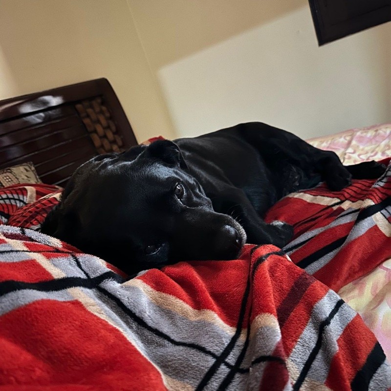 Ritu Kunwar (@ritu_kunwar1) | Snapchat Stories, Spotlight & Lenses