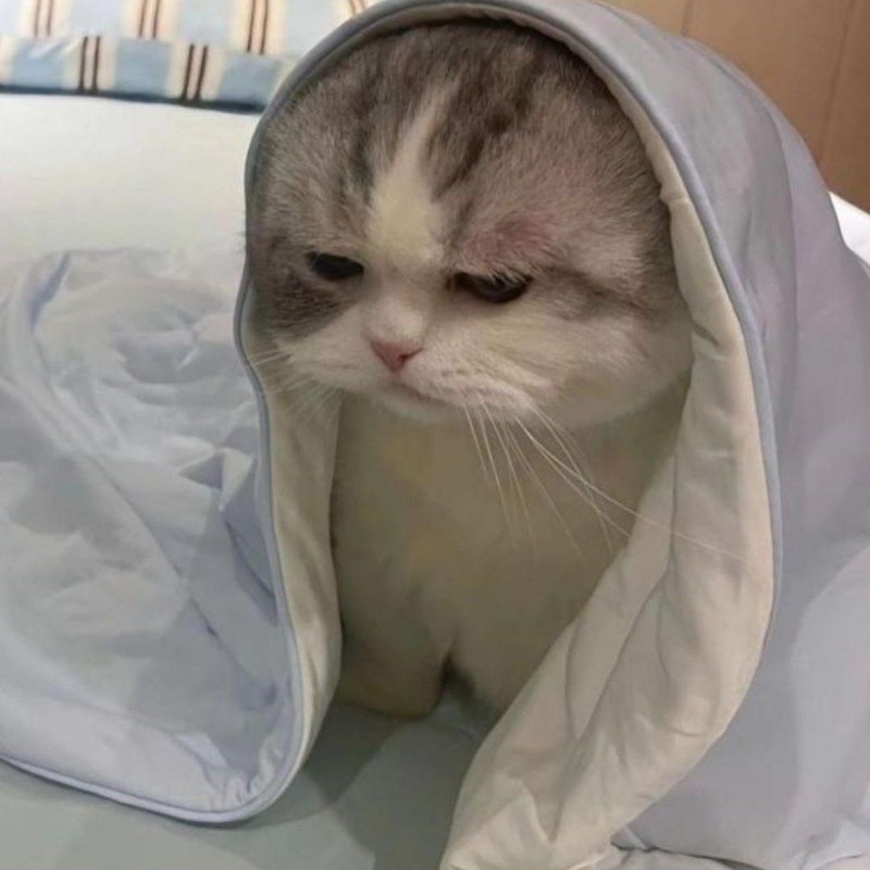 Riya Soni (@riya_soni7885) | Snapchat Stories, Spotlight & Lenses