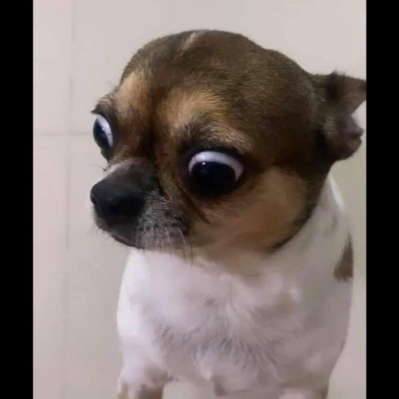 Rizz_messages1 (@rizz_messages1) | Snapchat Stories, Spotlight & Lenses