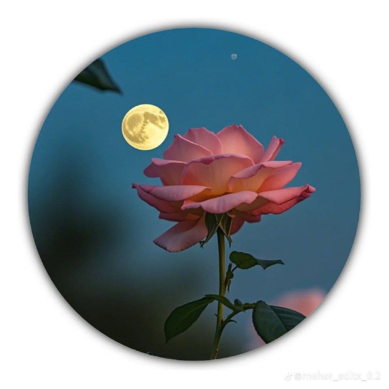 Rizz Texts (@rizztexts2025) | Snapchat Stories, Spotlight & Lenses