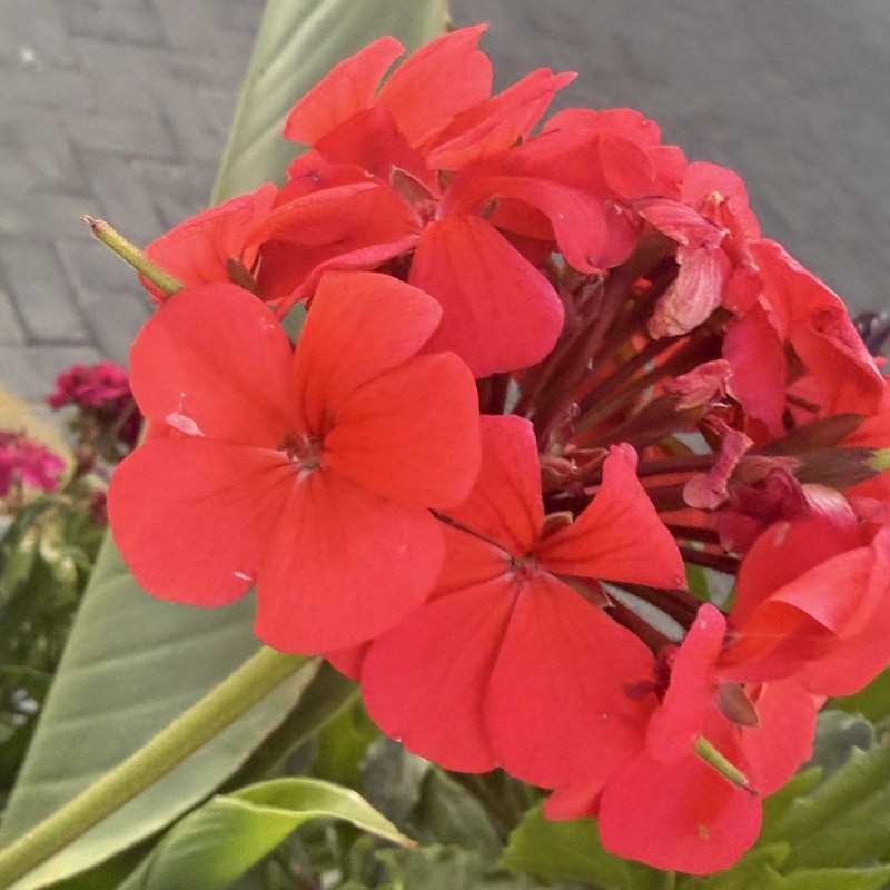 Robi Akthet (@robiakthet) | Snapchat Stories, Spotlight & Lenses