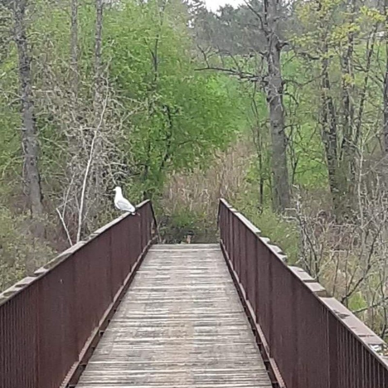 Rob Sprague(@robsprague23) | เรื่องราว Snapchat ตลอดจน Spotlight และเลนส์