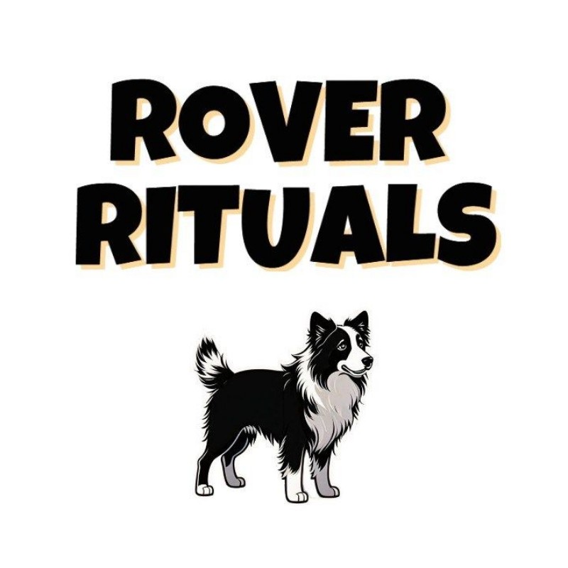 Rover Rituals (@roverrituals) | Snapchat Stories, Spotlight & Lenses