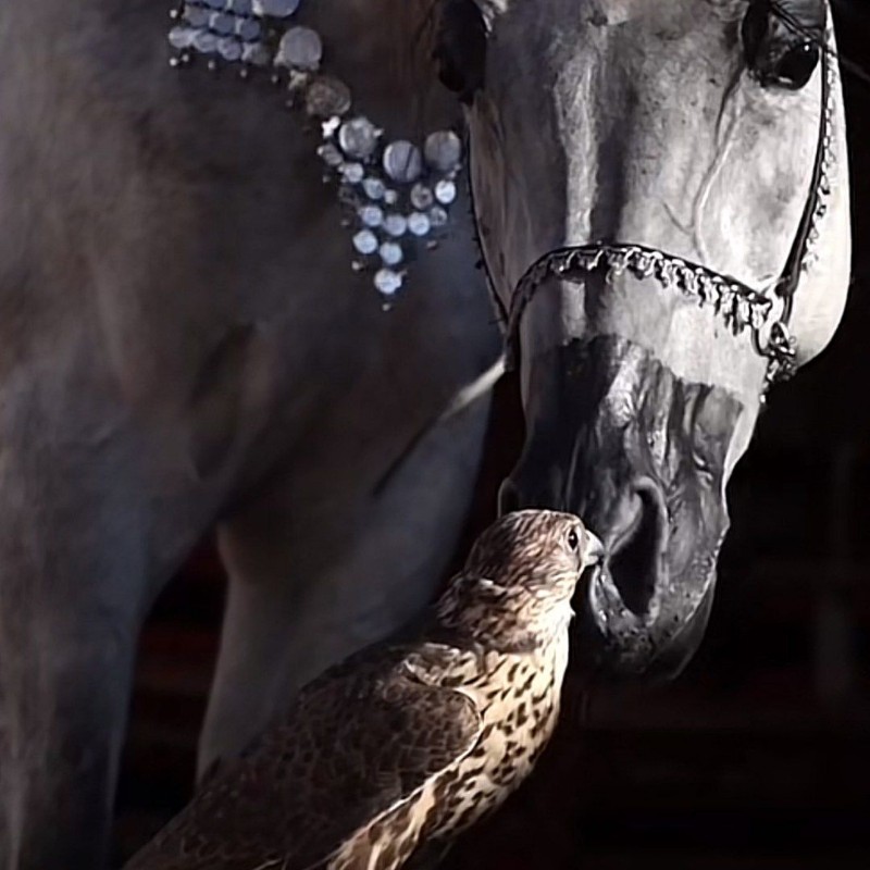 🤍. (@s2.hhh) | Snapchat Stories, Spotlight & Lenses