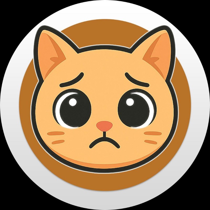 Sad Cat TV (@sadcattv) | Snapchat Verhalen, Spotlight en Lenzen