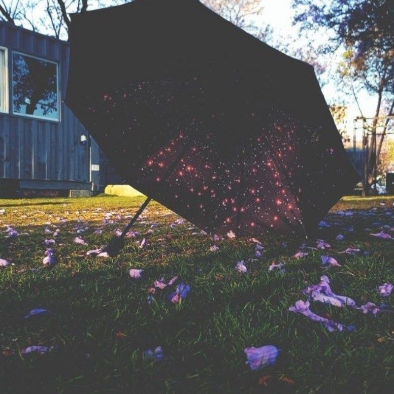 Sakura Flower (@sakura.flower1) | Snapchat Stories, Spotlight & Lenses