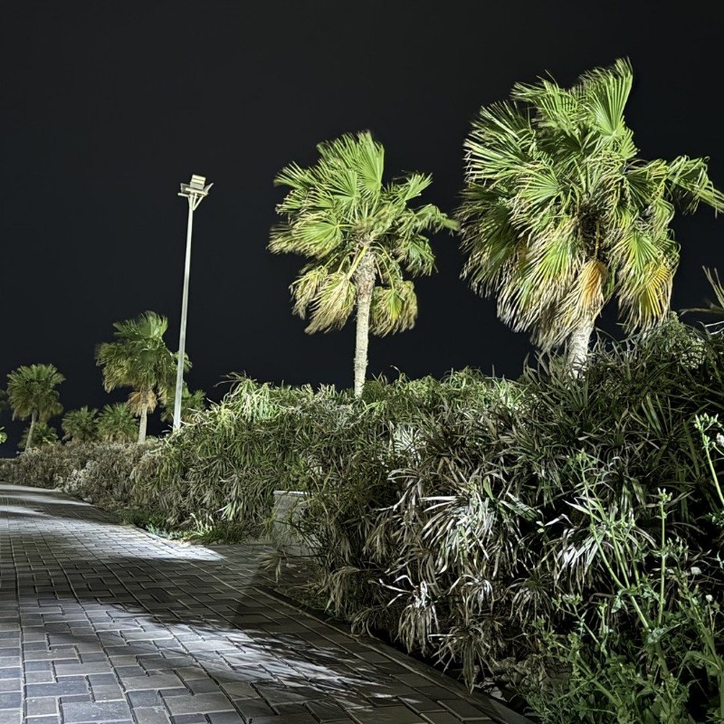 عنيد الوايلــي𓅓 (@sal2003r) | Snapchat Stories, Spotlight & Lenses