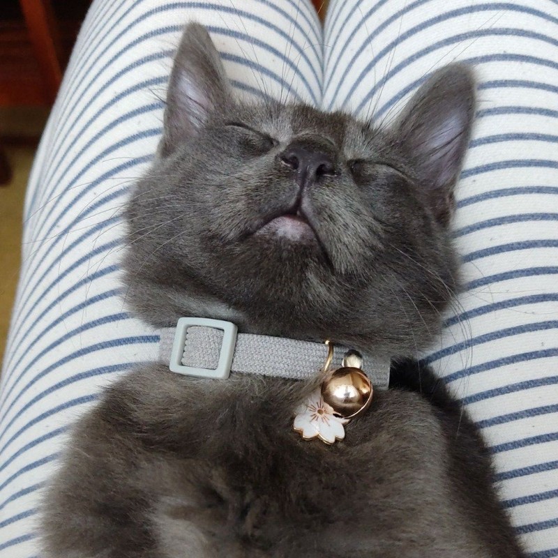 SAM (@salcb8) | Snapchat Stories, Spotlight & Lenses