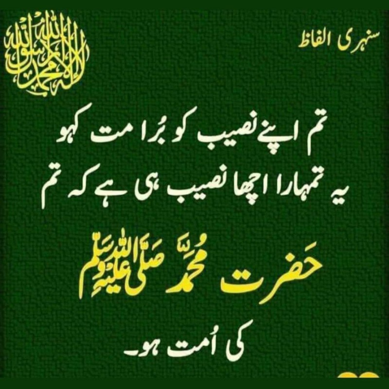 Md Salik ️💫 (@salik-786) | Snapchat Stories, Spotlight & Lenses