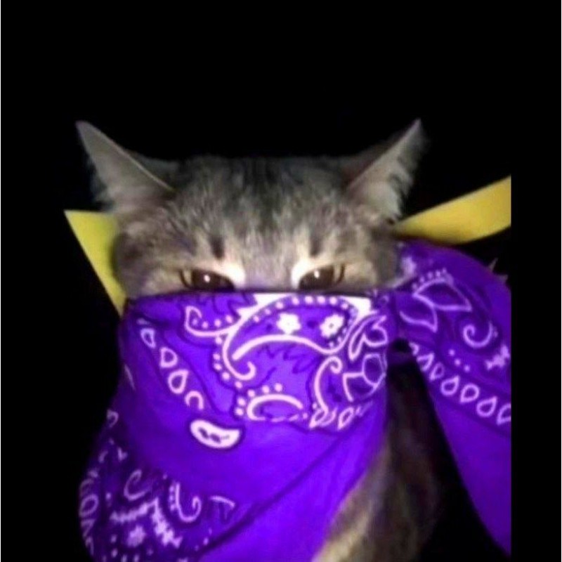 Salma ♛ (@salma-jmm) | Snapchat Stories, Spotlight & Lenses