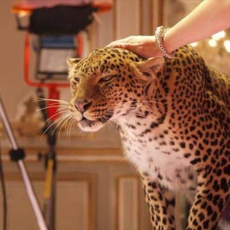 Ghi Ta🇲🇦🐆 (@salma_vida2020) | Snapchat Stories, Spotlight & Lenses