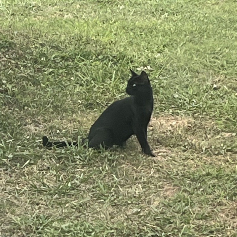 Sam 😩👍 (@sam_odeus) | Snapchat Stories, Spotlight & Lenses