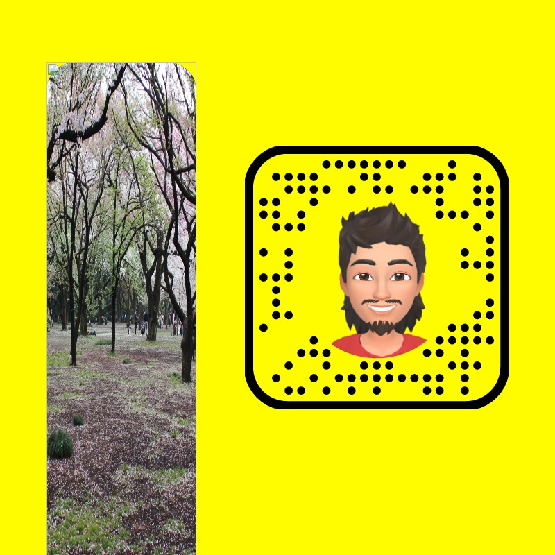 Sam Dornan (@samdornan) | Snapchat Stories, Spotlight & Lenses