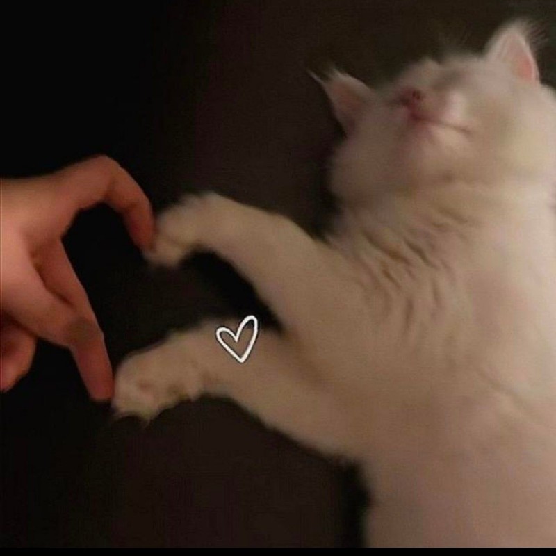 سامرين (@samrin_sfq) | Snapchat Stories, Spotlight & Lenses