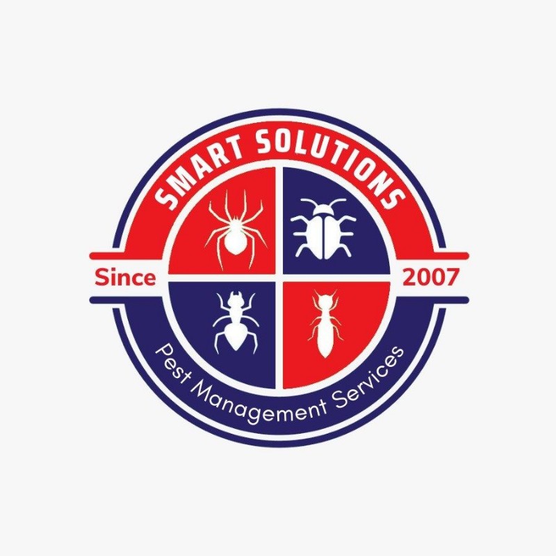 Pest Control Services Amarnath (@sangishetty_ama) | Snapchat Stories ...