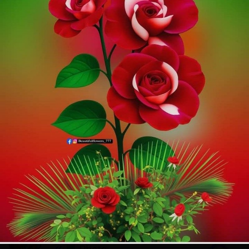 SARMIN (@sarmin20247483) | Snapchat Stories, Spotlight & Lenses