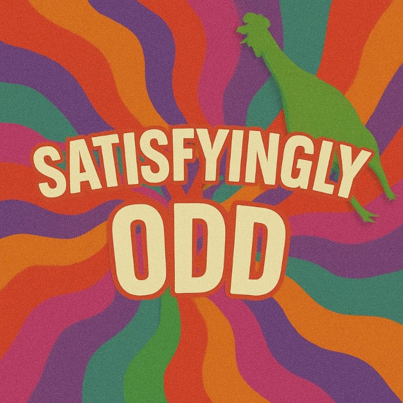 Satisfyingly Odd (@satisfyingly3) | Snapchat Storys, Spotlight und Linsen