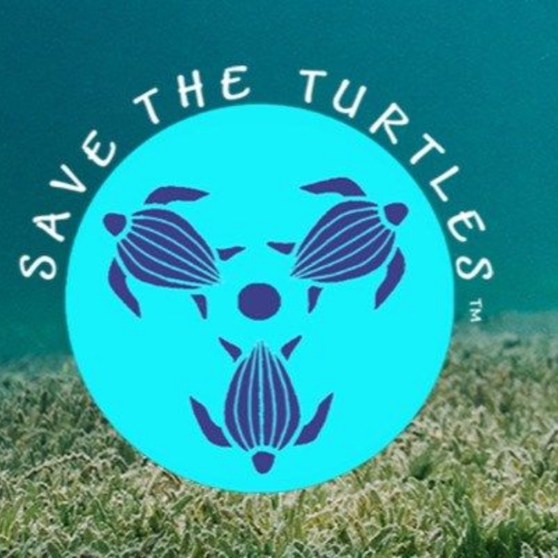 Save Turtles (@saveturtles-org) | Snapchat Stories, Spotlight & Lenses