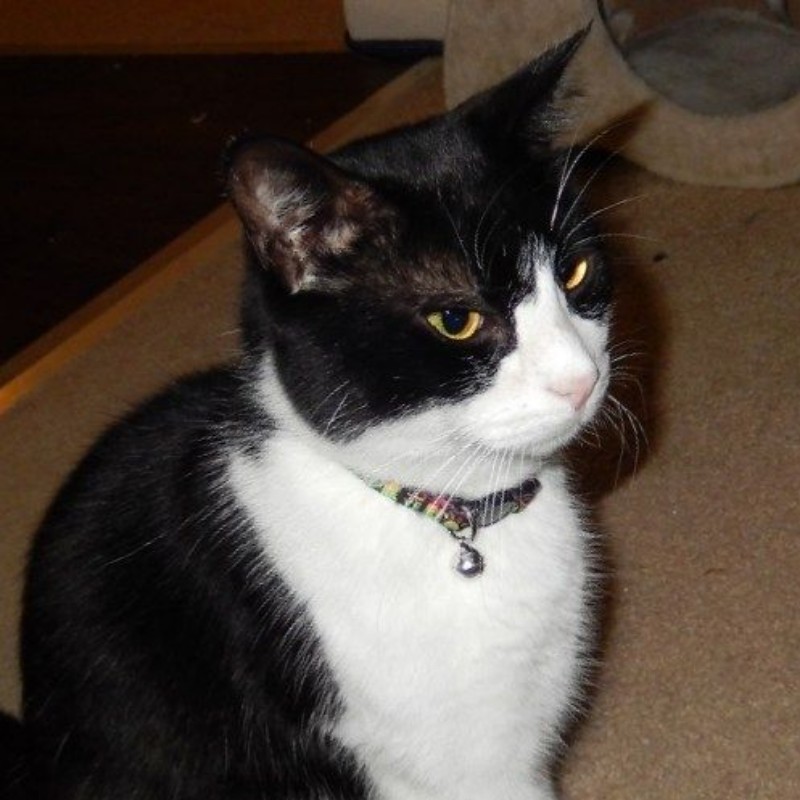 Suave Brown (@scall_green) | Snapchat Stories, Spotlight & Lenses