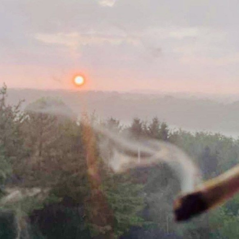 Matt (@seals) | Snapchat Stories, Spotlight & Lenses