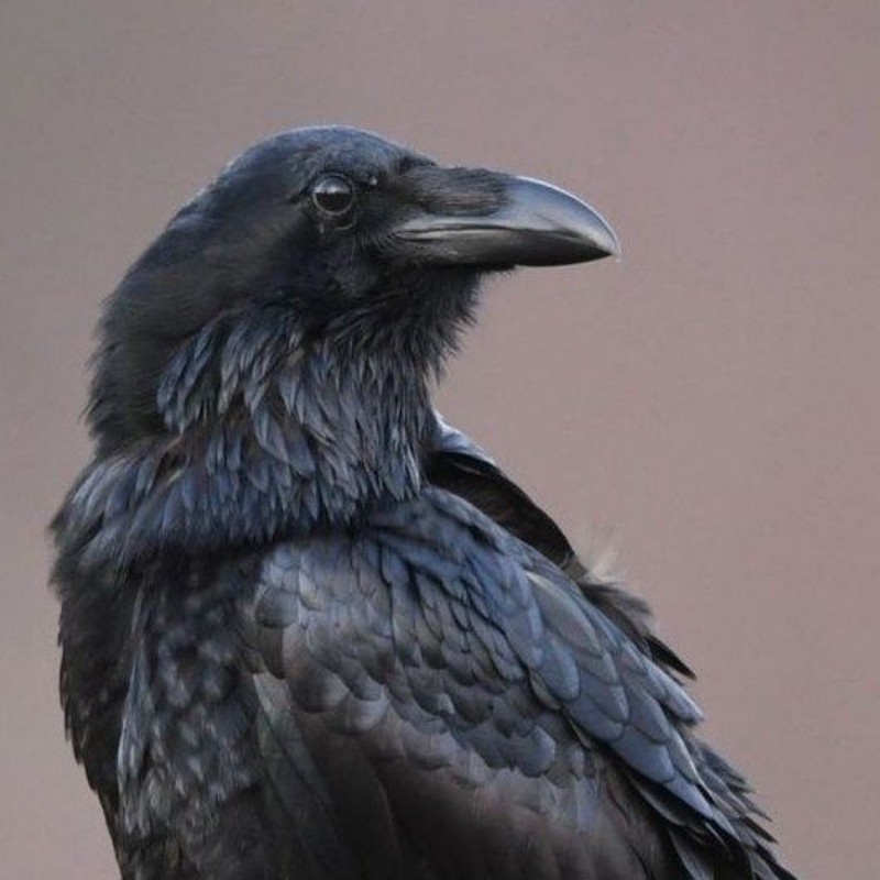 Bee 🌿 (@seraqh) | Snapchat Stories, Spotlight & Lenses