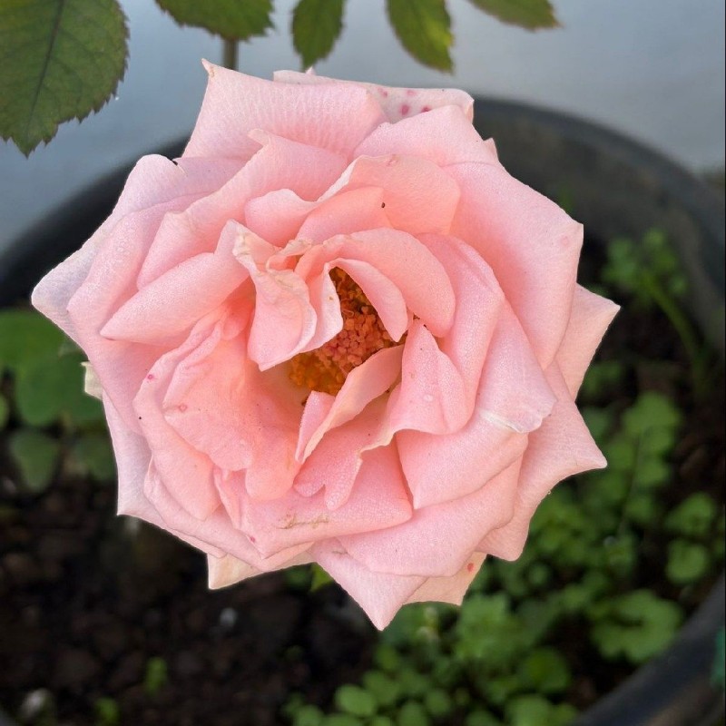 Mahakaal_Ki_Diwani.01 (@serni.001) | Snapchat Stories, Spotlight & Lenses