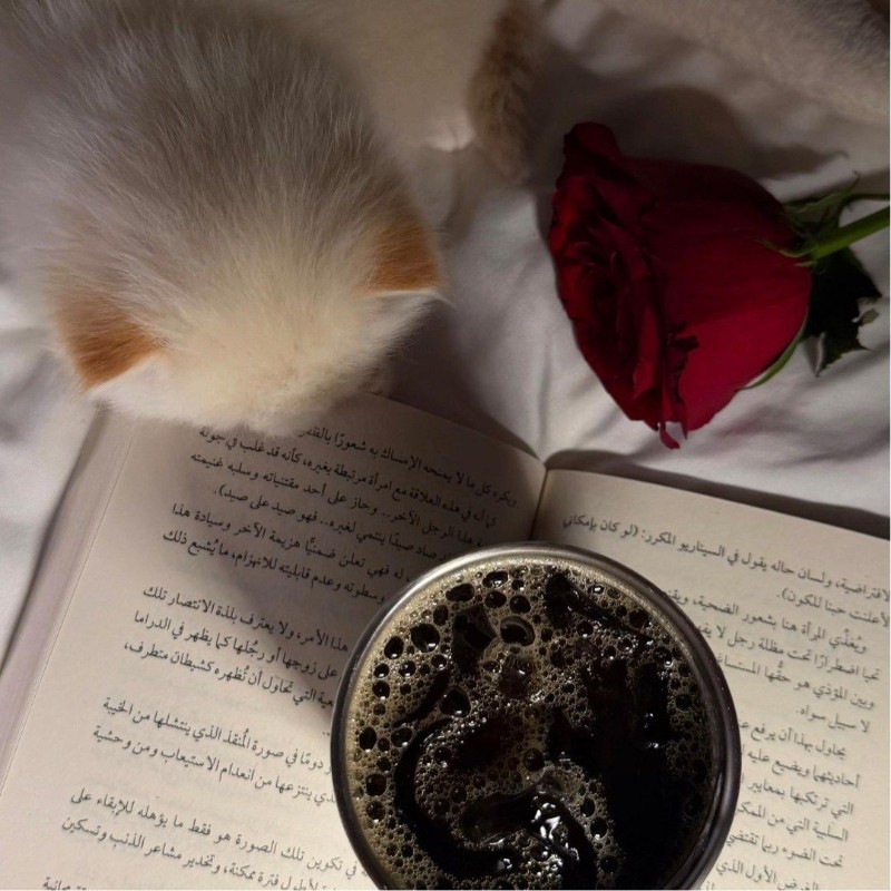 𝚂𝙷𝙰𝙷𝙳.♡ (@sh.2fr) | Snapchat Stories, Spotlight & Lenses