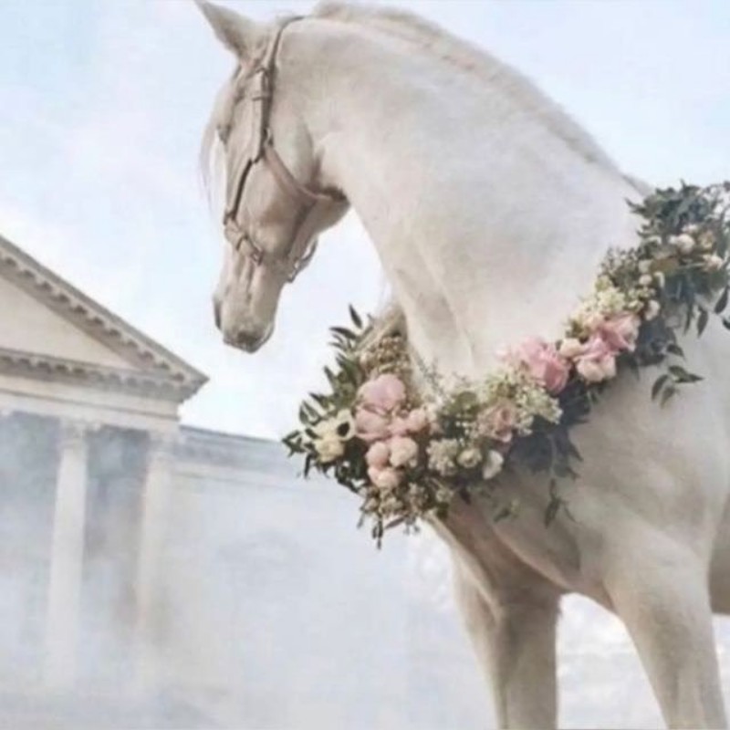 MASHAEL (@sh3nona0) | Snapchat Stories, Spotlight & Lenses