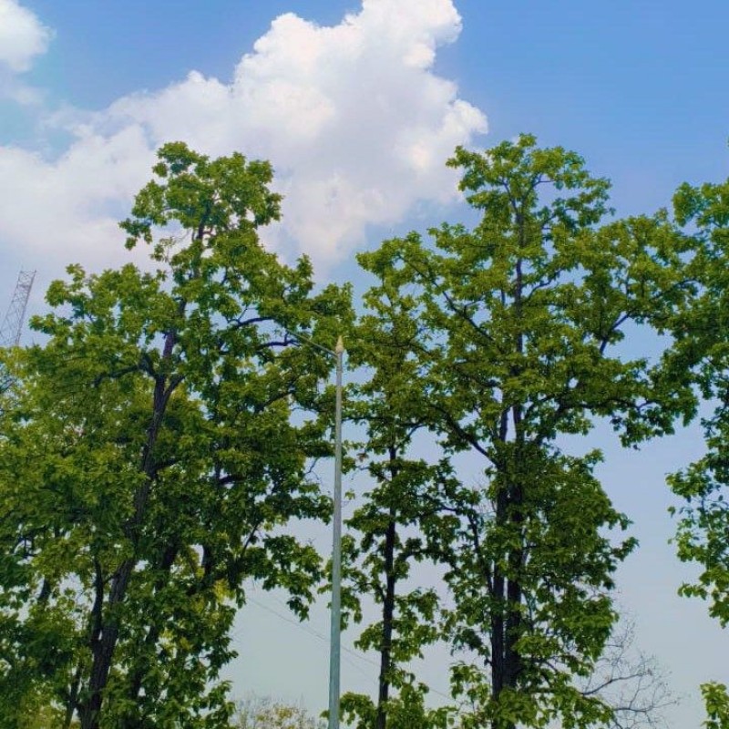 Pookie🎀🌙 (@shagufi259419) | Snapchat Stories, Spotlight & Lenses