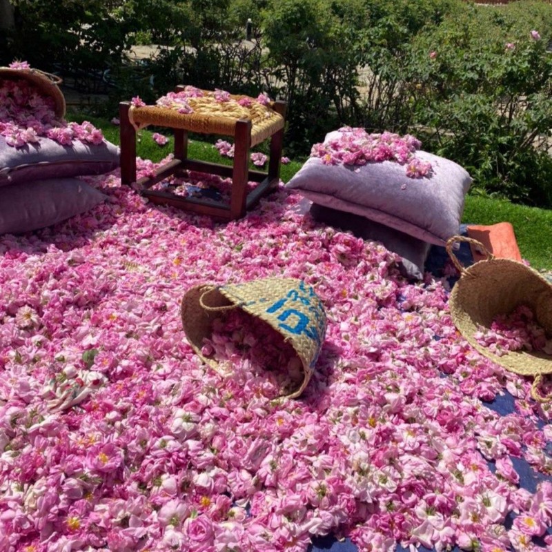 Shaheda (@shaheda_3) | Snapchat Stories, Spotlight & Lenses