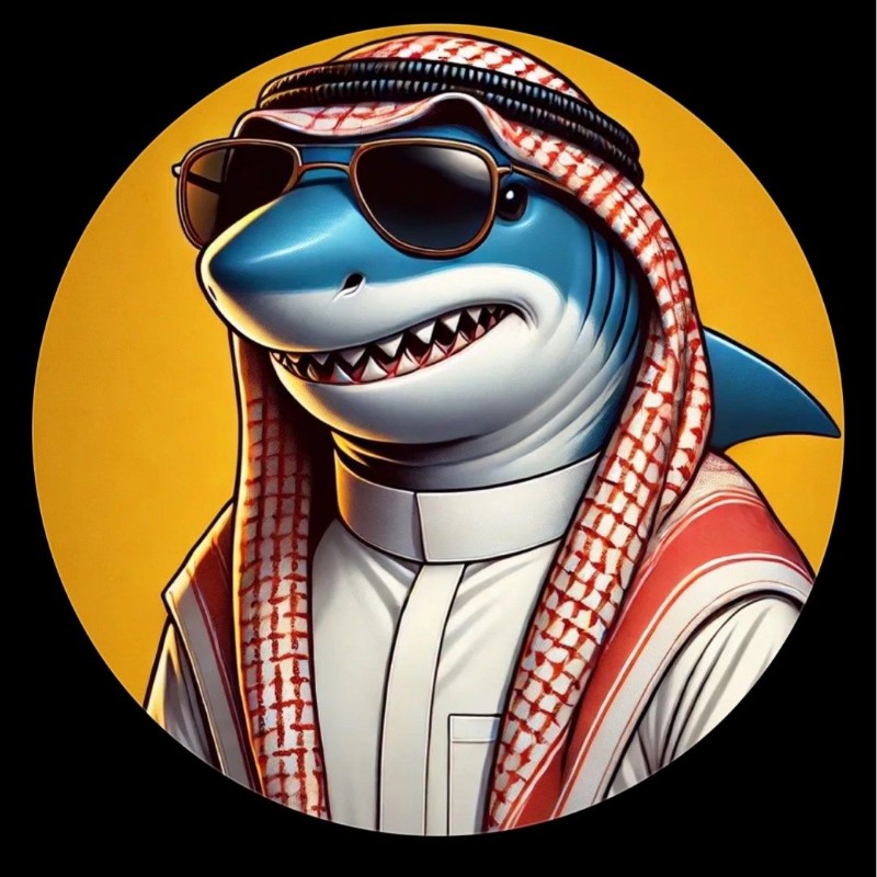 SHARKS Live 🦈 (@sharks.kw) | Snapchat Stories, Spotlight & Lenses