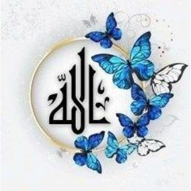 🧿Shavin Zebari 🧿 (@shavin7212) | Snapchat Stories, Spotlight & Lenses