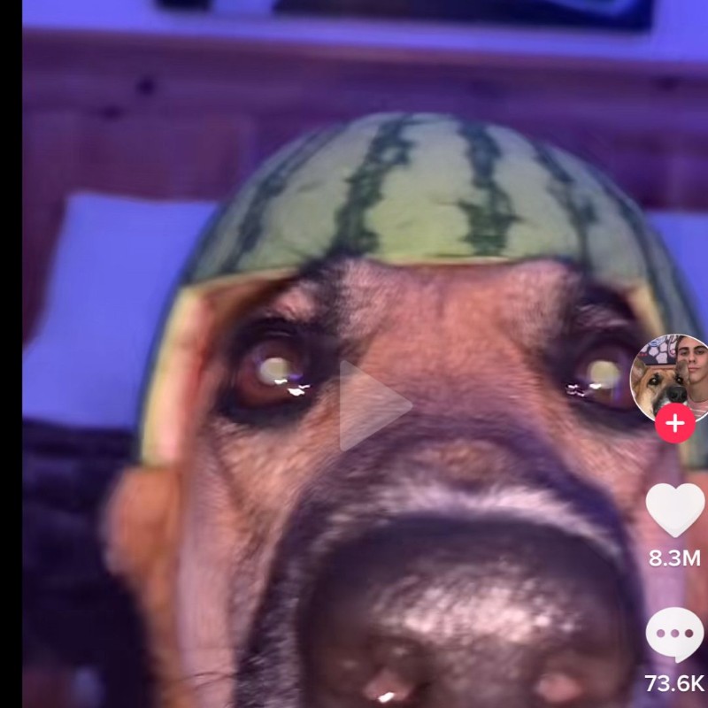 Sheluvs.brycey🌠 (@she_fwbryce) | Snapchat Stories, Spotlight & Lenses