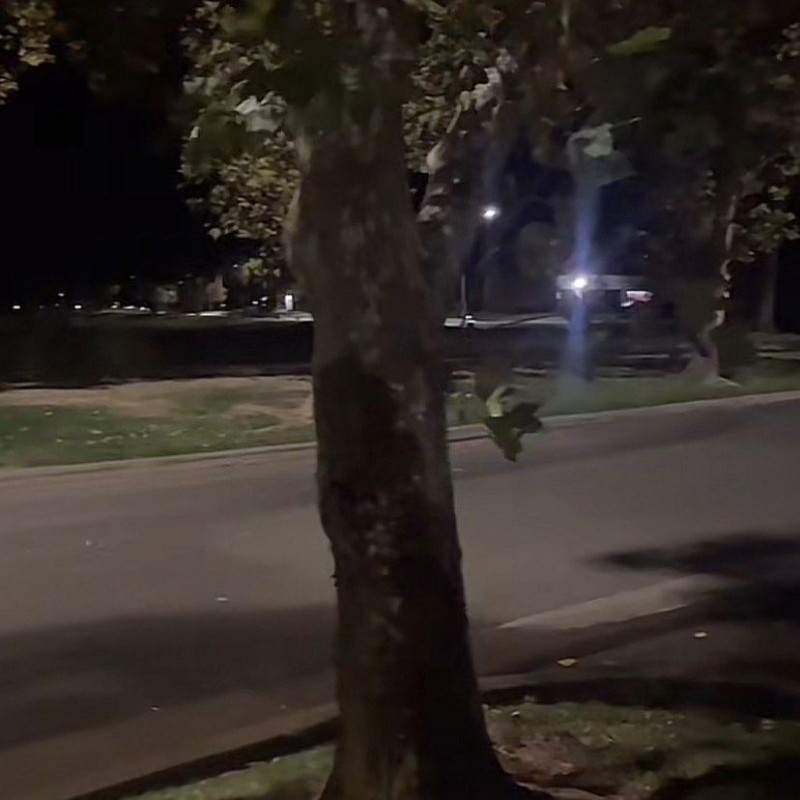 ☆shealeigh☆ (@shealeigh_duck) | Snapchat Stories, Spotlight & Lenses