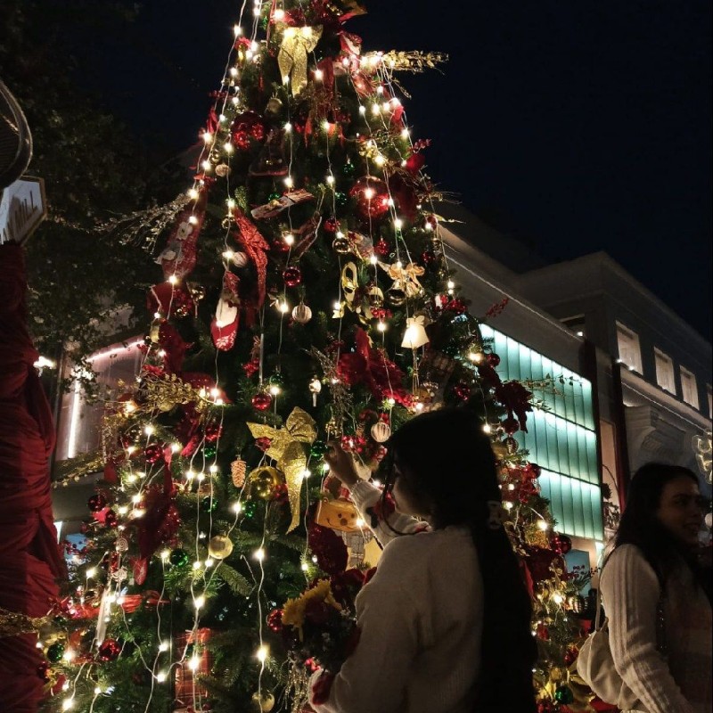 Shelly Gupta (@shelllygupta) | Snapchat Stories, Spotlight & Lenses