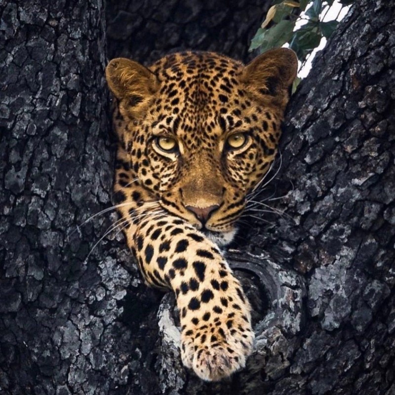 SHK (@shk-qatar) | Snapchat Stories, Spotlight & Lenses