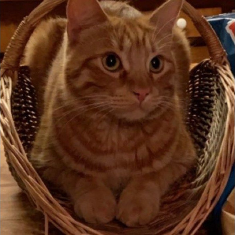 SHOCKER760 (@shocker_760) | Snapchat Stories, Spotlight & Lenses