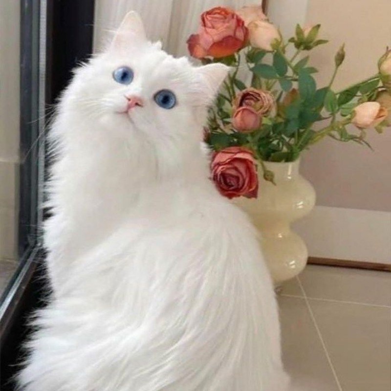 💙🫶🏻 (@silent_kill3er) | Snapchat Stories, Spotlight & Lenses