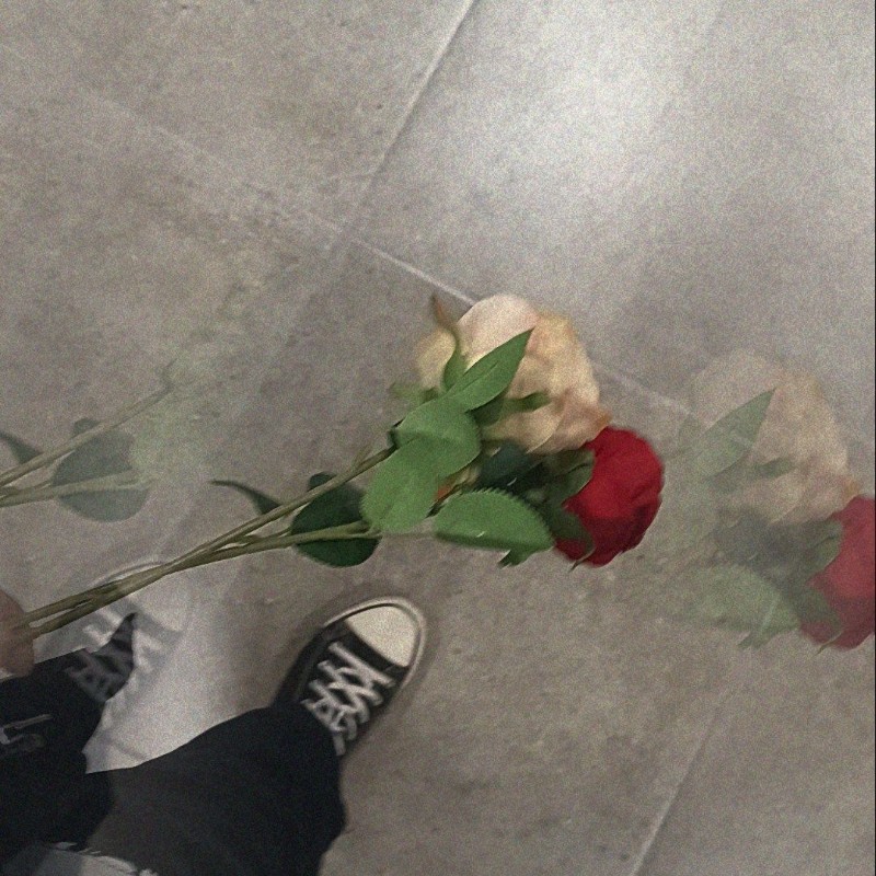 SilverScript (@silverscriptx) | Snapchat Stories, Spotlight & Lenses