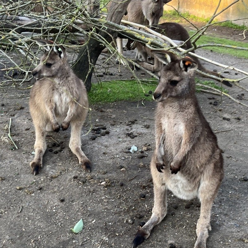 Śímõn :) (@simon_olsen24) | Snapchat Stories, Spotlight & Lenses