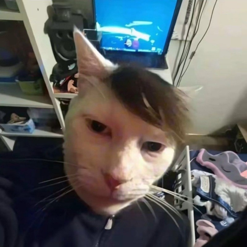 Taj (@simon_taj) | Snapchat Stories, Spotlight & Lenses