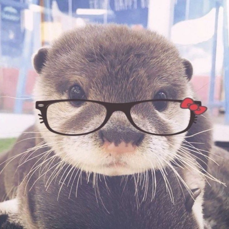 ☆MONI (@simonedoe2025) | Snapchat Stories, Spotlight & Lenses