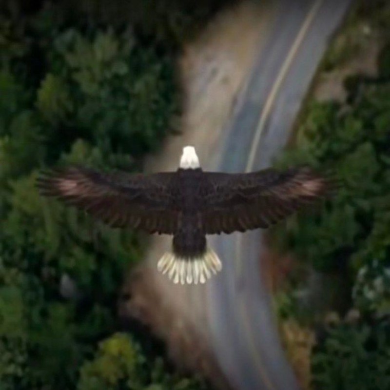 Alone ...Boy (@simple-hope) | Snapchat Stories, Spotlight & Lenses