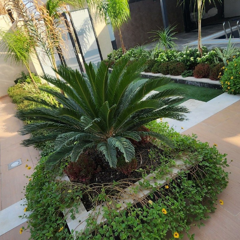 Sireen (@sireen_bade2020) | Snapchat Stories, Spotlight & Lenses