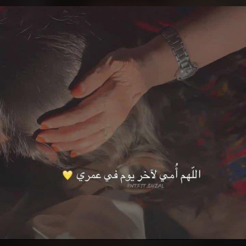 ﮼خجوله ﮼الورد (@sloome999999) | Snapchat Stories, Spotlight & Lenses