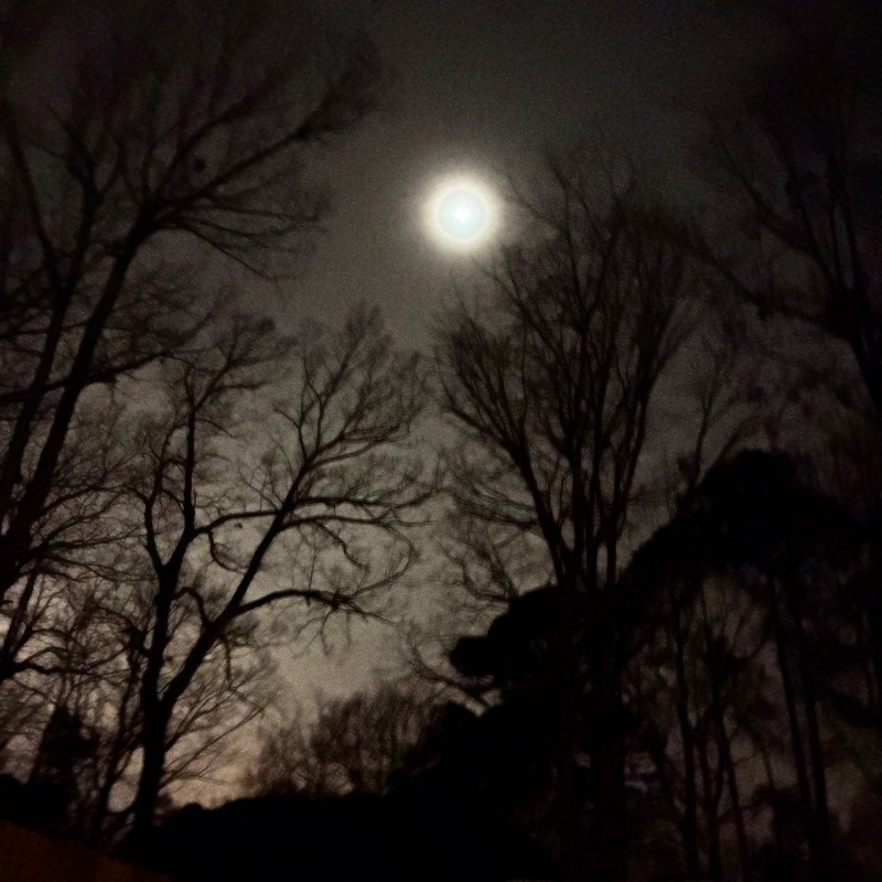 Sheila Morales (@smorales1920) | Snapchat Stories, Spotlight & Lenses