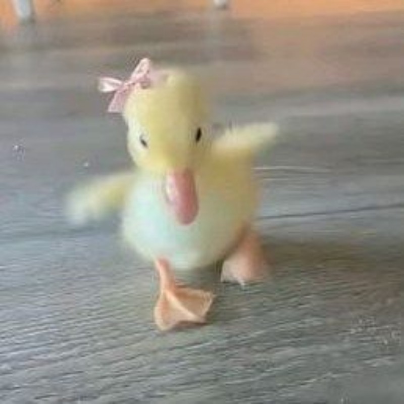 Smriti Rangar (@smriti_rangar) | Snapchat Stories, Spotlight & Lenses