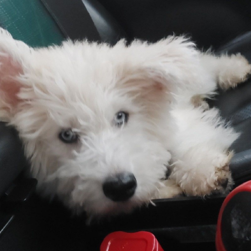 Jonathan Aponte (@snow010422) | Snapchat Stories, Spotlight & Lenses