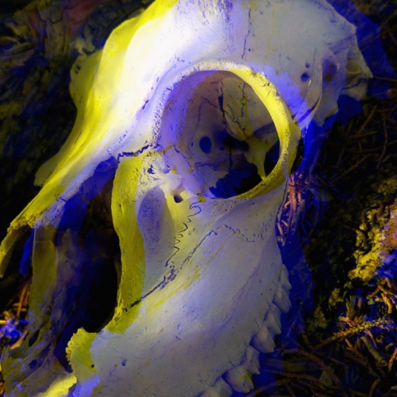 Marcus™ (@soft_bread) | Snapchat Stories, Spotlight & Lenses